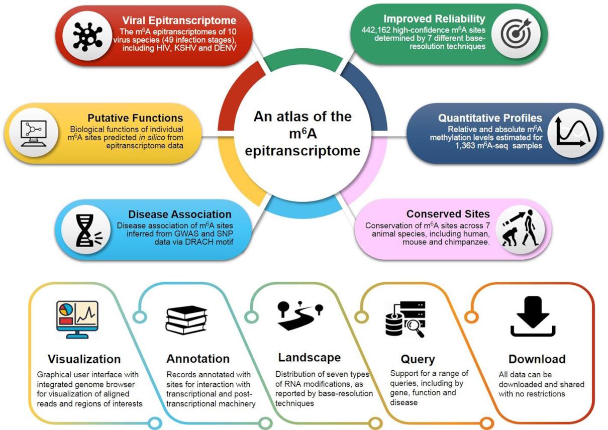 m6A-Atlas：m6A甲基化综合型数据库 - 知乎