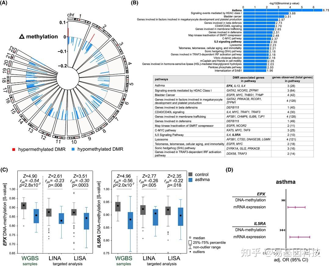 科研速递 | 全基因组DNA甲基化测序（WGBS）揭示儿童哮喘增强子区域的整体低甲基化 - 知乎