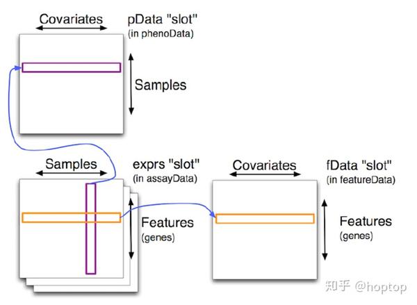 如何使用GEOquery和limma完成芯片数据的差异表达分析 - 知乎