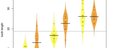 用R做beanplot（豆图）及代码 - 知乎