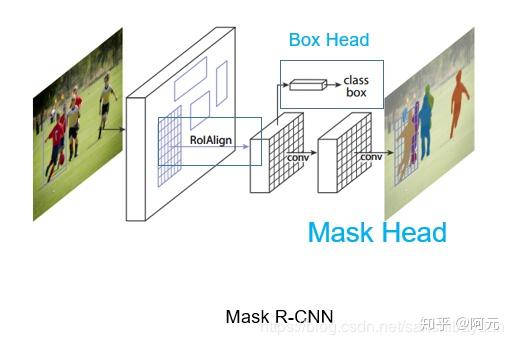 【进展综述】单阶段实例分割（Single Stage Instance Segmentation） - 知乎