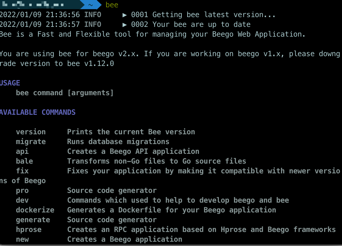 Go web框架——Beego 安装以及初始化 - 知乎