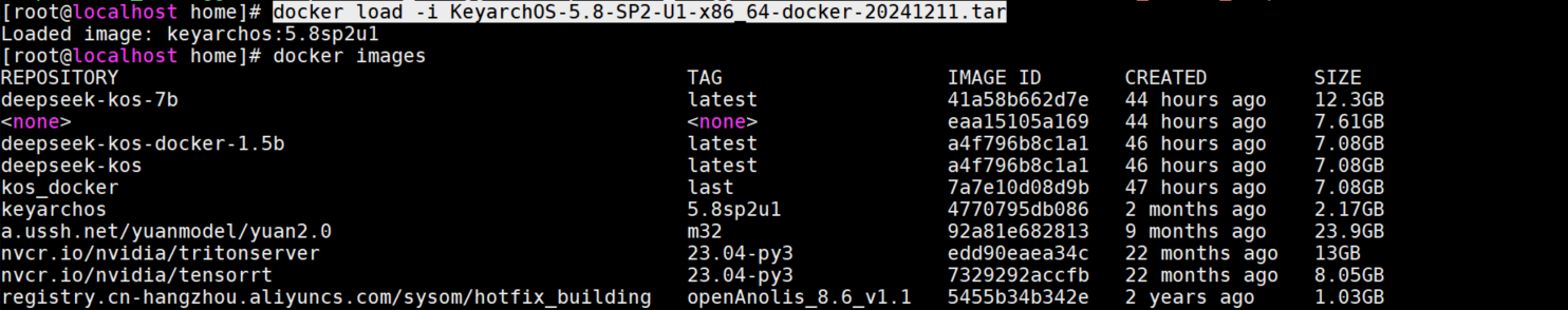 基于CPU的deepseek容器镜像制作与使用 | KeyarchOS(KOS) - 知乎