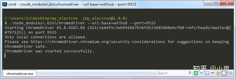 Electron 使用Selenium和WebDriver - 知乎