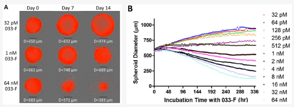 浅谈3D肿瘤球的培养及监测分析 - 知乎