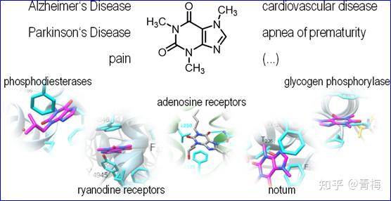 提神抗疲劳:基于咖啡因的药物研究进展 - 知乎