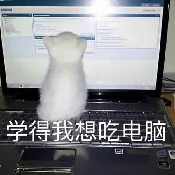 爱学习的表情包 - 知乎