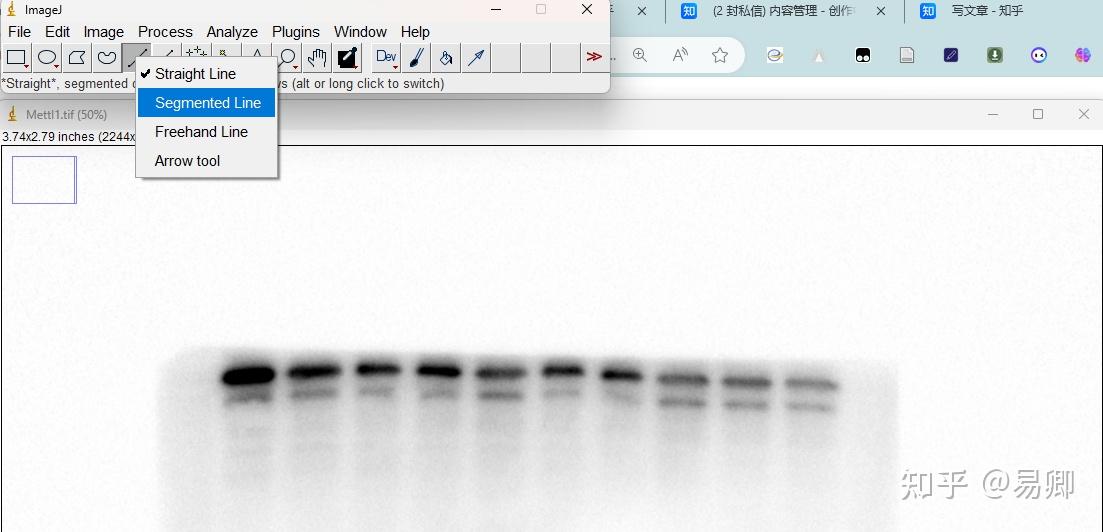 一文读懂！Image J与WB图像的处理与分析 - 知乎