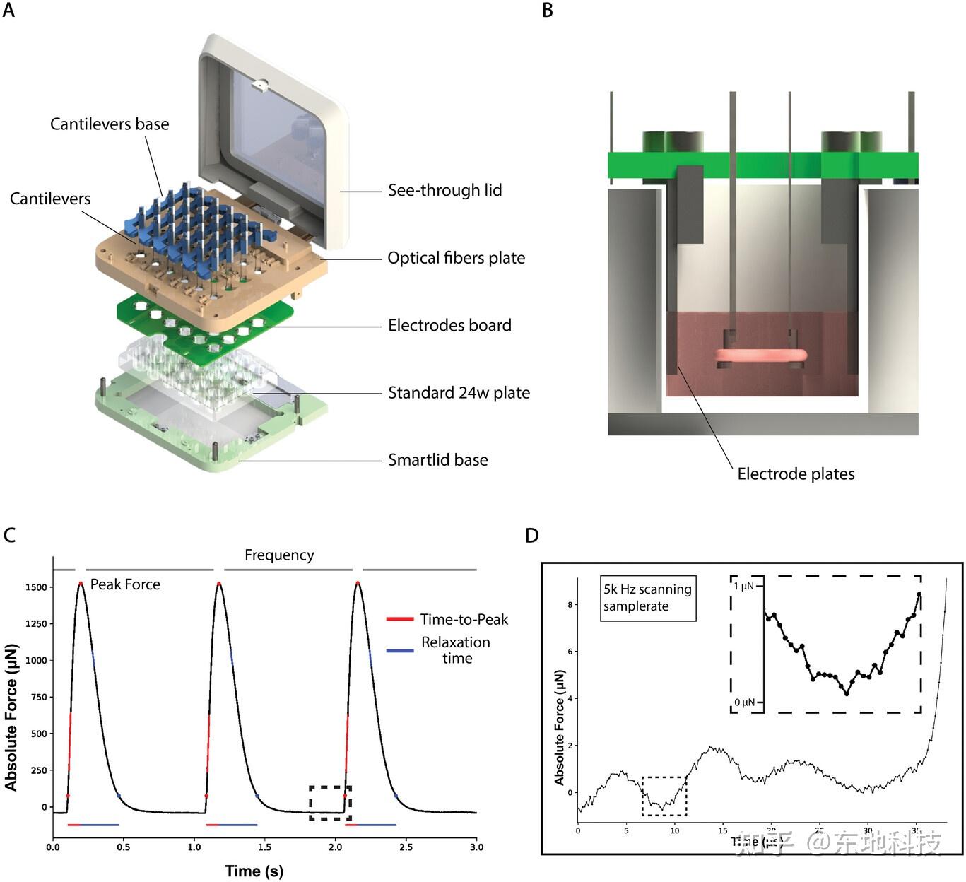 Optics11 Cuore测量骨骼肌的收缩力 - 知乎