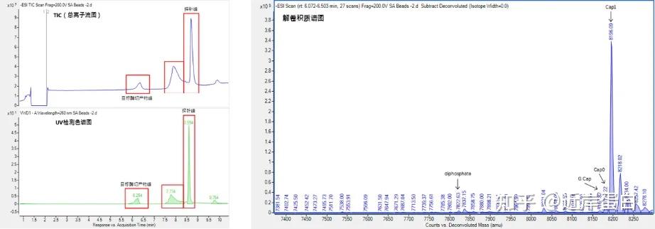 USP《mRNA疫苗和治疗产品质量分析方法-指南草案》第三版发布，mRNA质量控制如何做？ - 知乎