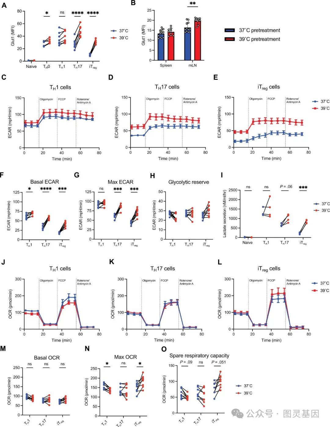 Sci Immu | 发烧导致T细胞线粒体应激和DNA损伤，降低抗癌潜力 - 知乎