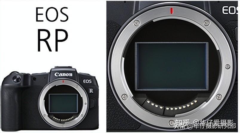 EOS R 与 EOS RP：选择哪个？ - 知乎
