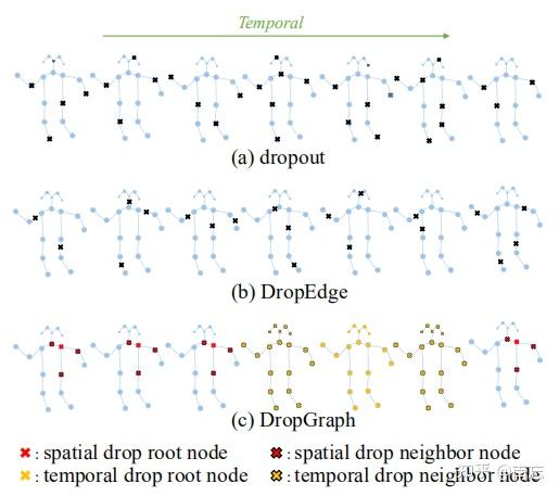 【骨骼行为识别】论文笔记 DGCN with DropGraph Module - 知乎