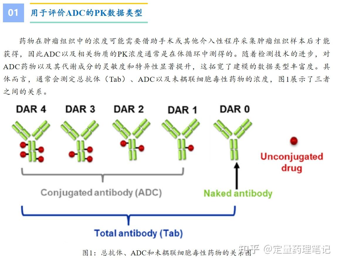 ADC类药物定量药理学分析专题五： 针对不同数据类型的PopPK建模思路 - 知乎