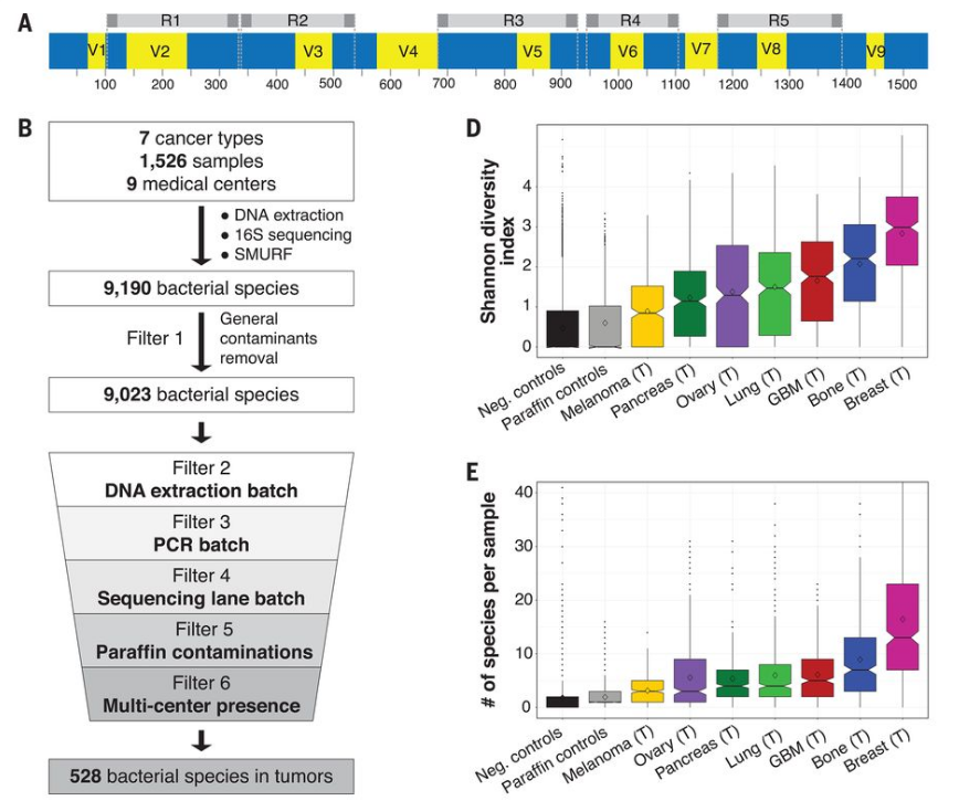 5R 16S测序检测 实现对肿瘤微生物等低生物量样本的深入研究 - 知乎