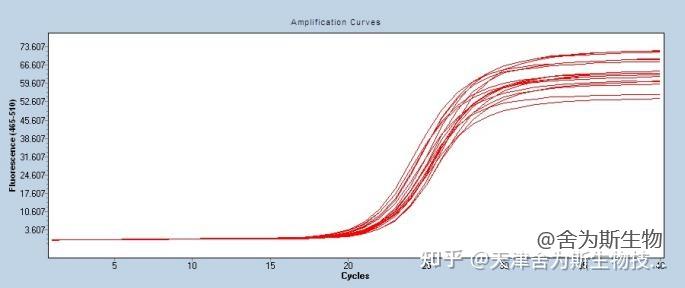 sws干货分享| CCK8药物筛选实验方法及要点分享 - 知乎