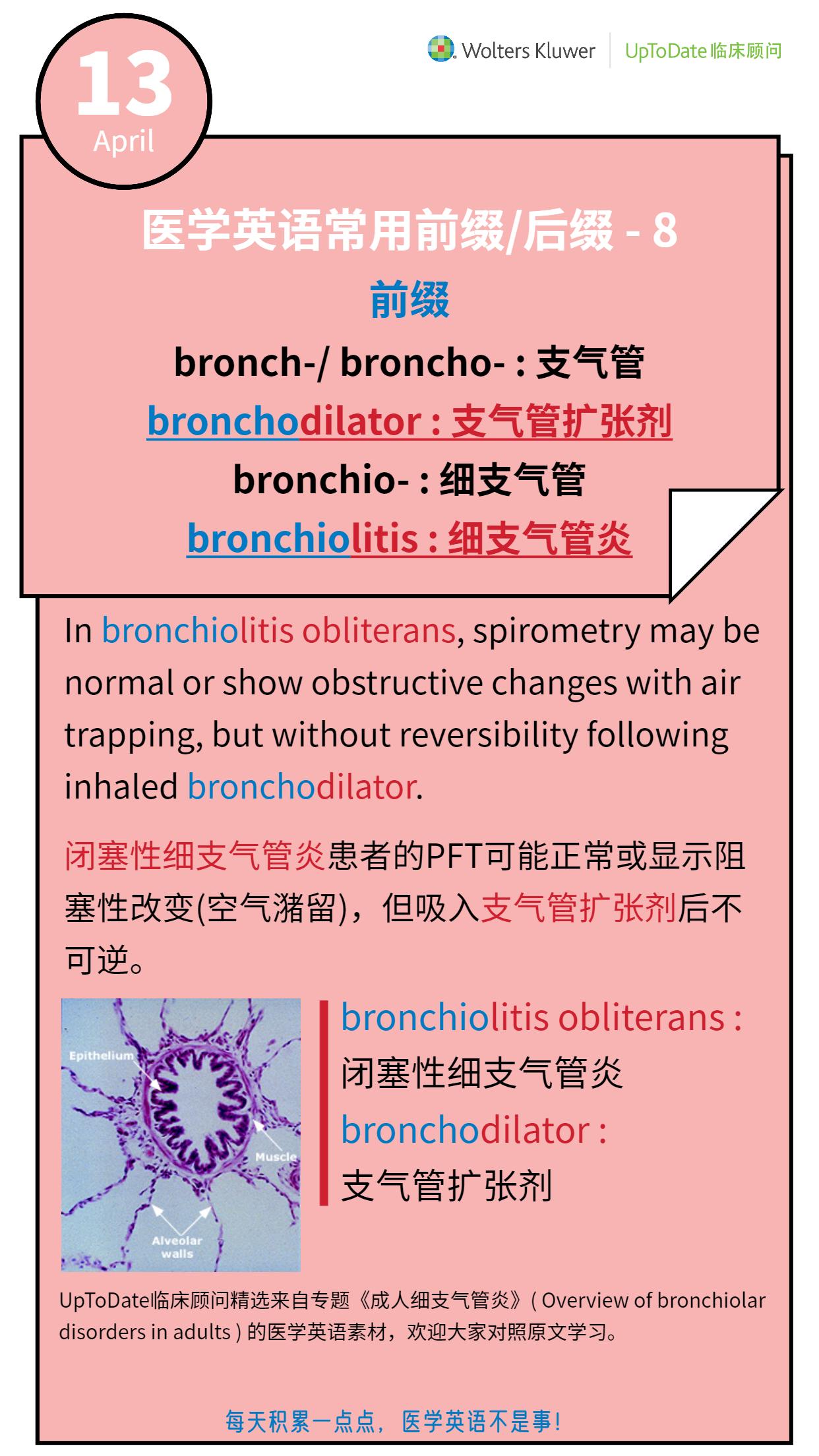 医学英语打卡｜4-13｜前缀bronch-/ broncho-/ bronchio- - 知乎
