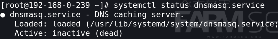 101-B2-DNSmasq服务 - 知乎