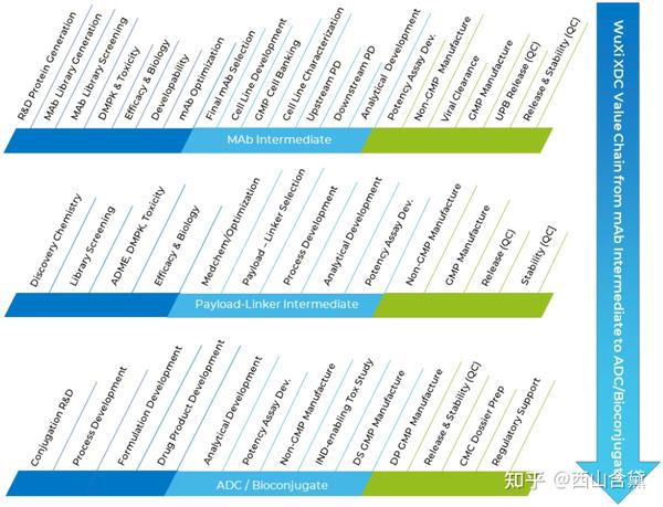国内外知名企业ADC技术平台(第十期，药明合联） - 知乎