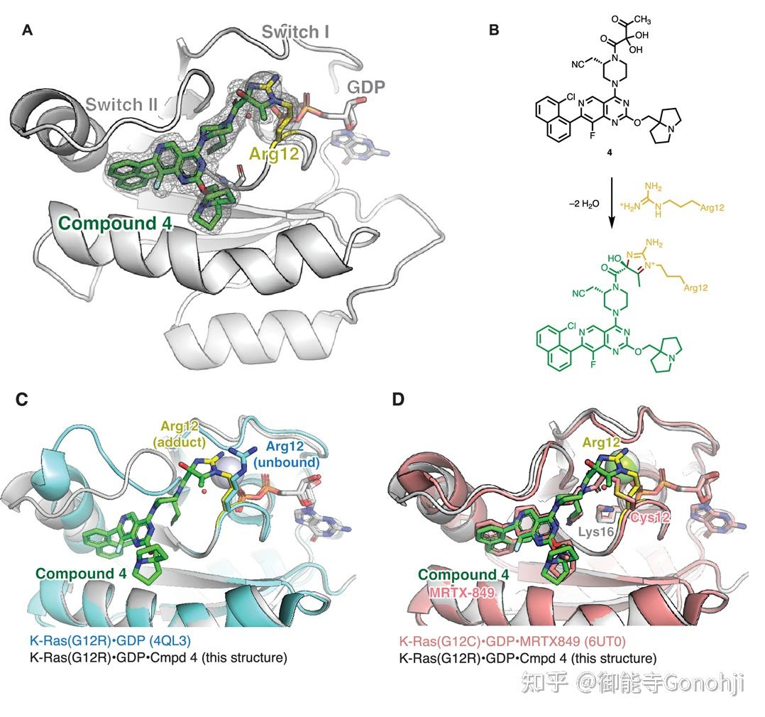 新型小分子亲电结构对K-Ras(G12R)实现共价加成修饰 - 知乎