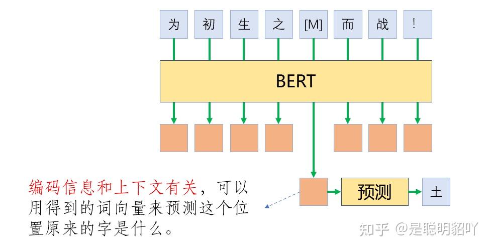 基于Tensorflow2.x实现BERT - 知乎