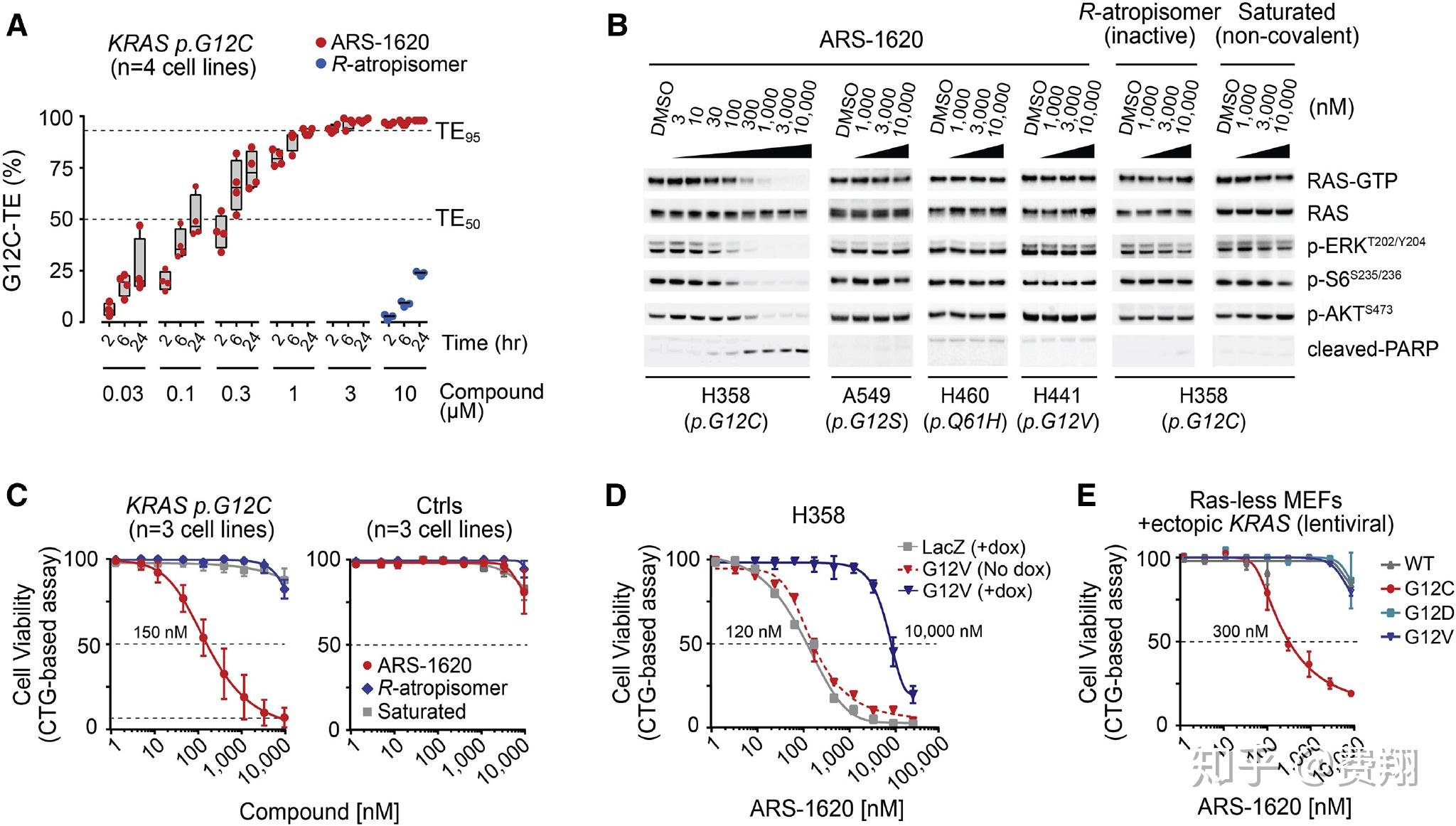 针对K-RAS突变癌症 - 知乎