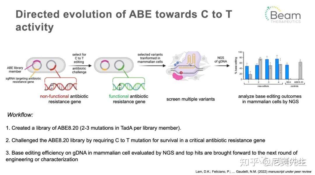CBE-T：TadA介导的下一代CBE编辑器 - 知乎