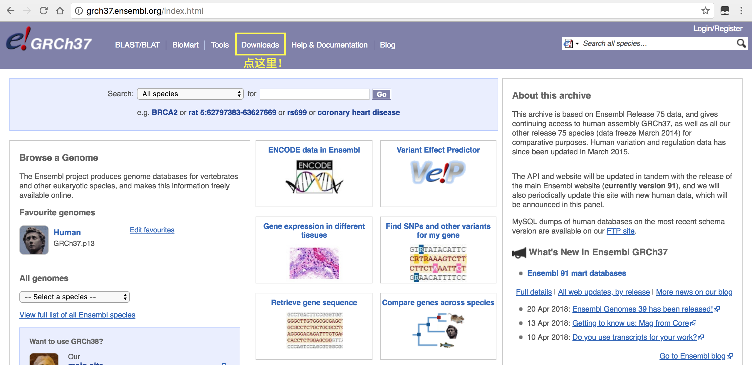 生物信息学100个基础问题 —— 第25题 GTF/GFF的注释是怎么来的，应该从哪里下载？ - 知乎