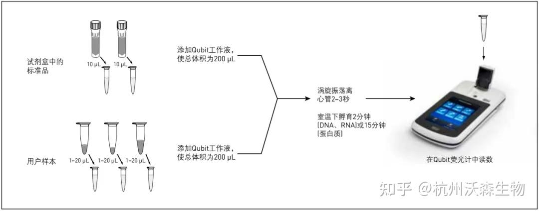 NGS必备之Qubit核酸定量检测 - 知乎