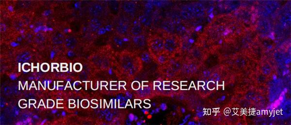 ichorbio生物仿制药研究现状及开发步骤 - 知乎