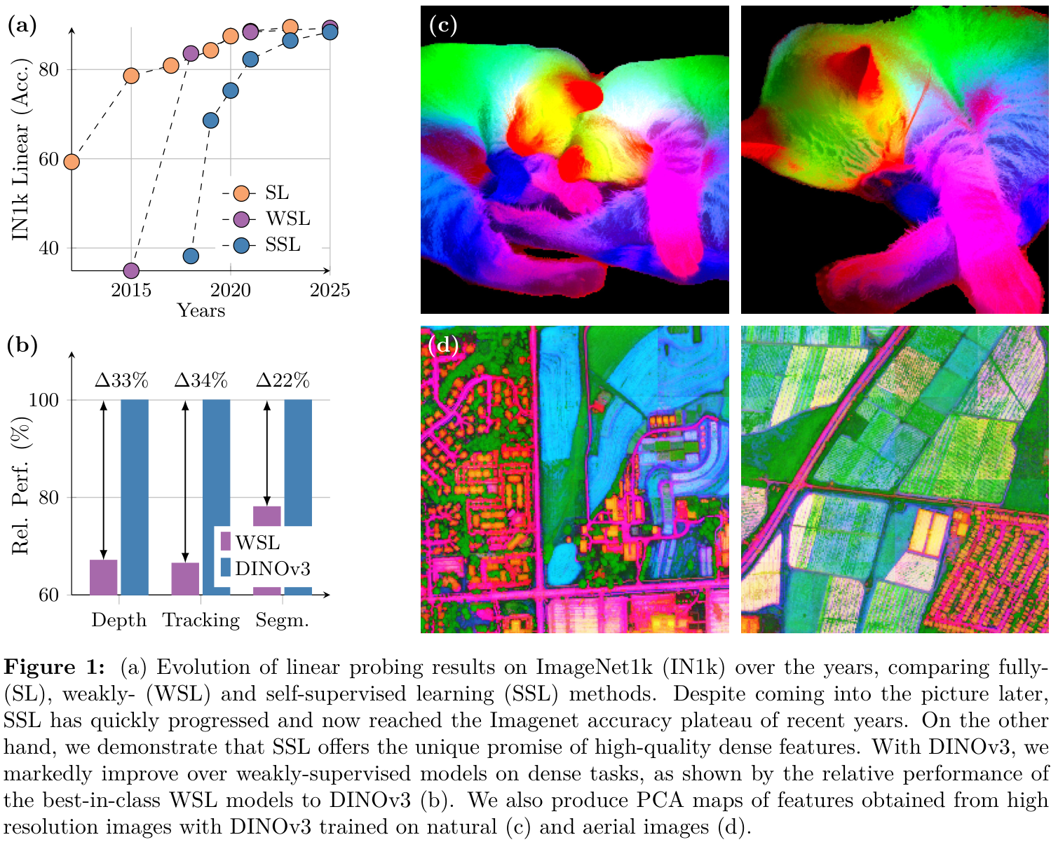 DINOv3震撼发布：Meta AI的视觉巨兽，重新定义自监督学习 - 知乎