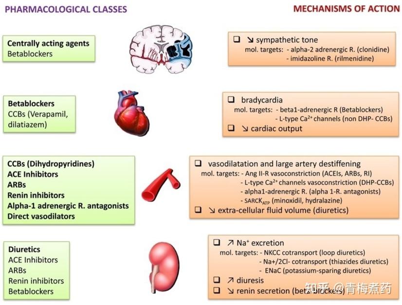 药物发现 | 抗高血压“first-in-class” 新药：双重内皮素受体拮抗剂 Aprocitentan - 知乎
