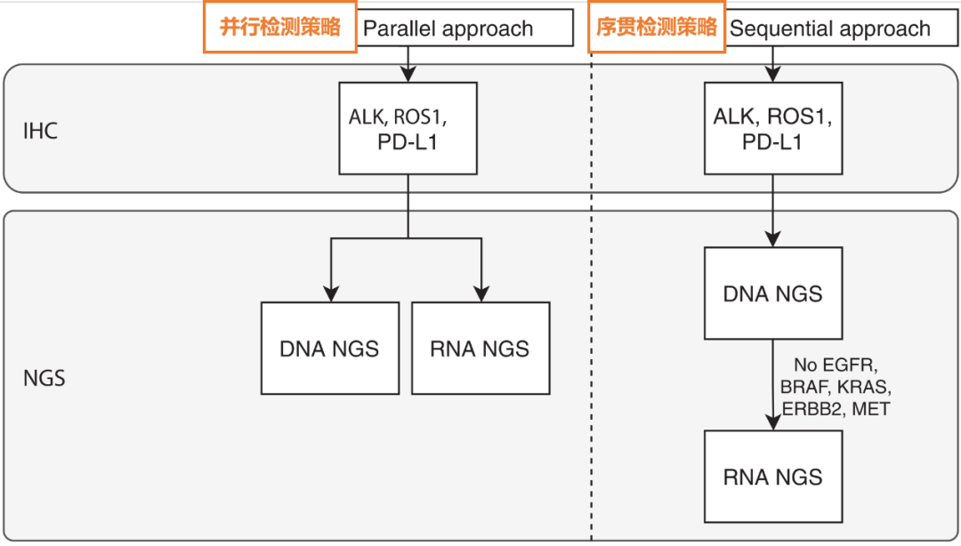 DNA-NGS与RNA-NGS检测融合基因临床意义的对比 - 知乎