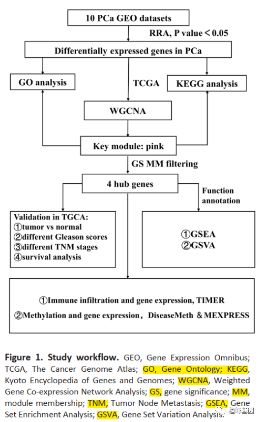 RNA 17. SCI 文章中的筛选 Hub 基因 (Hub genes) - 知乎