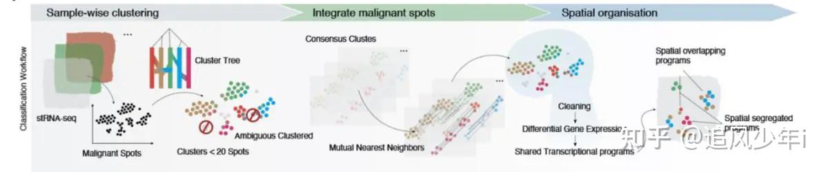 空间多组学分析破译胶质母细胞瘤中的双向肿瘤-宿主相互依赖性（空间微环境） - 知乎