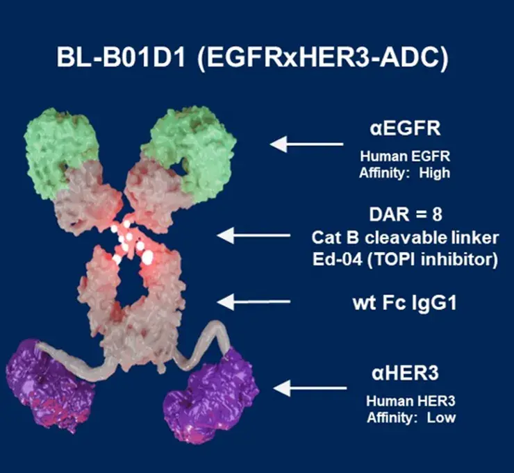 全球首个双抗ADC成功！集萃药康EGFR/HER3靶点全资源解析 - 知乎