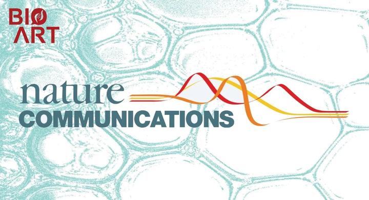 Nat Comm | 多功能基因调节强力工具——核酸海绵可全面优化合成基因线路设计 - 知乎