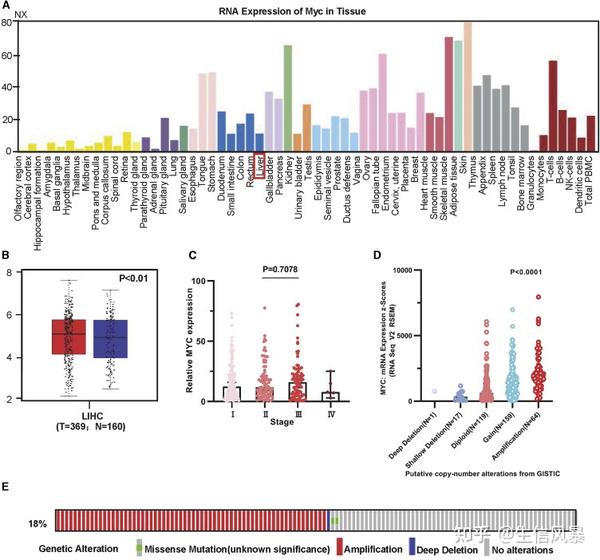 Myc相关ceRNA网络的构建揭示了肝细胞癌的预后特征 - 知乎