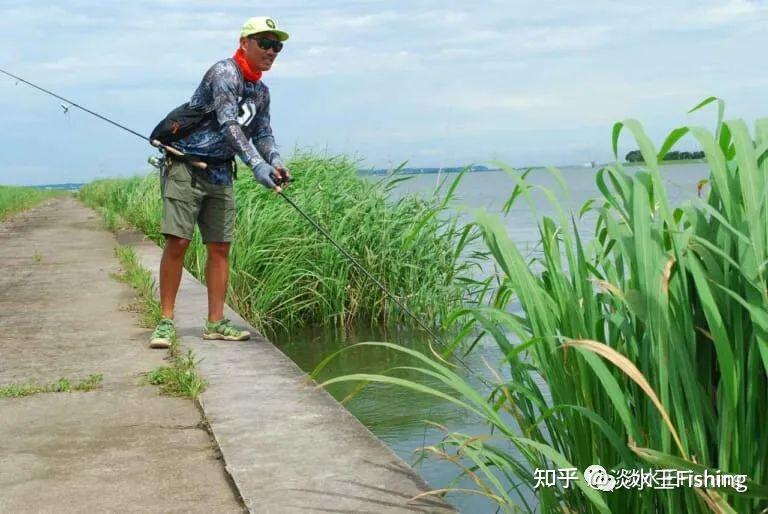 路亚·装备丨BLACK LABEL黑标路亚竿（BLX）霞ヶ浦水系大暴扣【内山幸也】 - 知乎