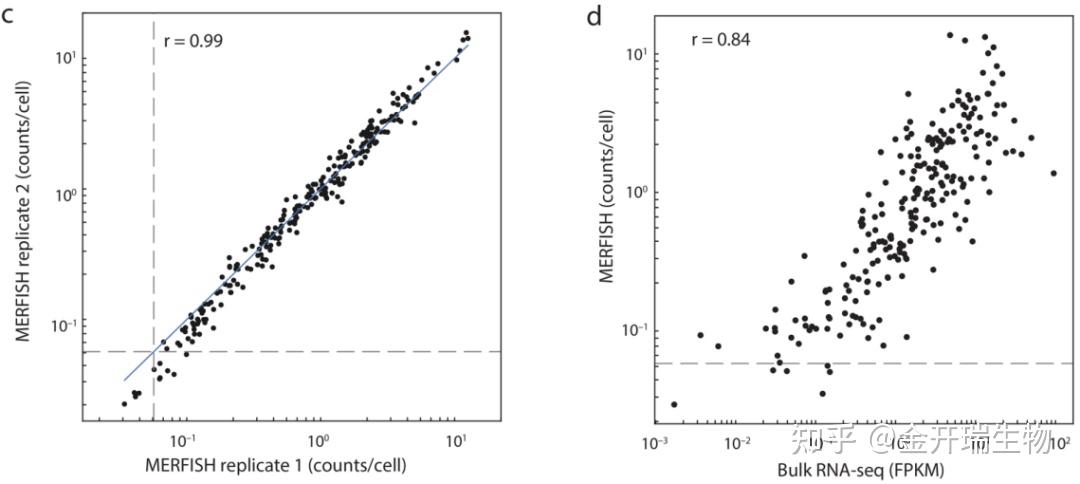 Nature: MERFISH绘制小鼠初级运动皮层空间细胞图谱 - 知乎