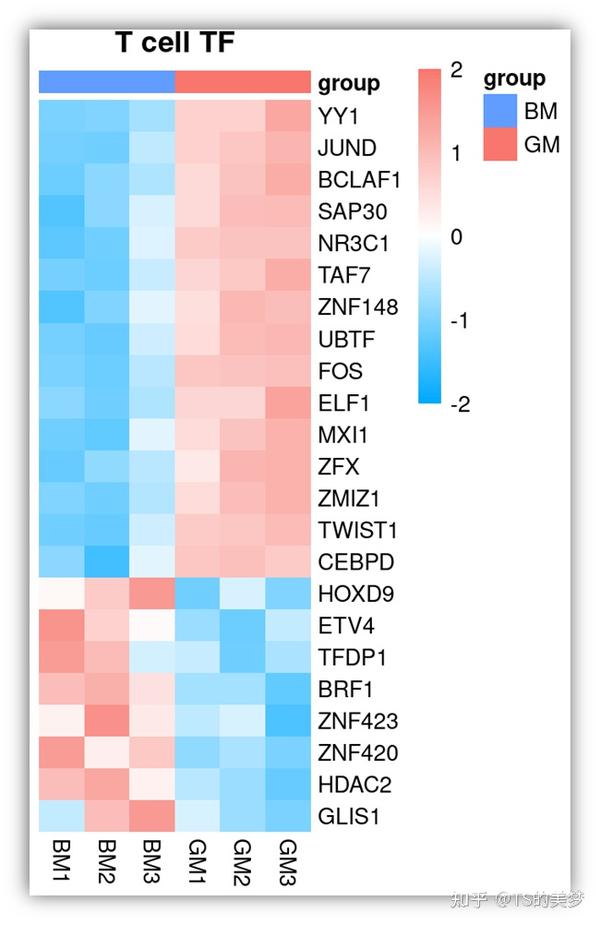 PySCENIC（四）：pyscenic结果之差异转录因子分析及其他可视化 - 知乎