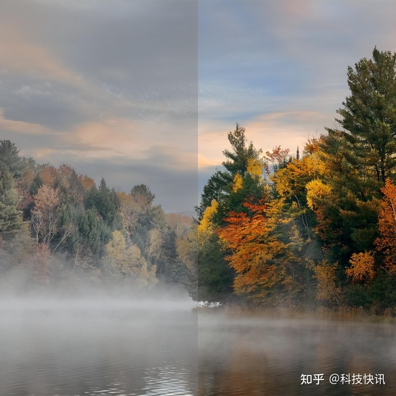 综合性能强 松下S5M2获年度影像全能机型推荐奖 - 知乎