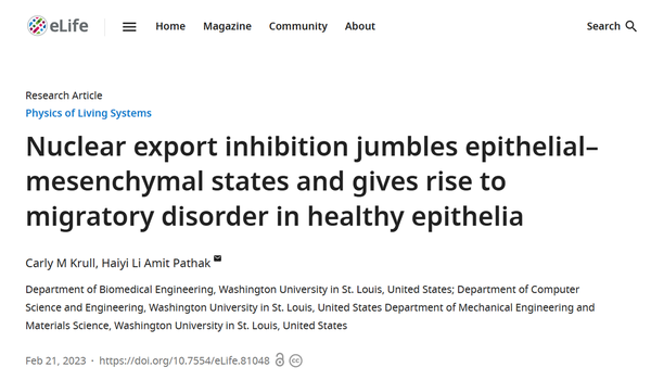 eLife：细胞具有双重身份，竞争因子被困在细胞核中 - 知乎