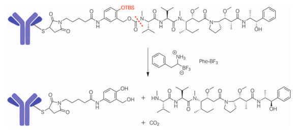 下一代新型ADC: 点击化学ADC - 知乎
