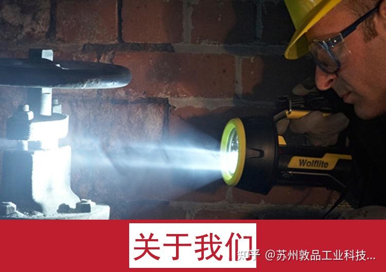 英国Wolf狼牌ATEX HT-650 LED头灯 0区头戴式电筒 IP67防水防尘灯 - 知乎