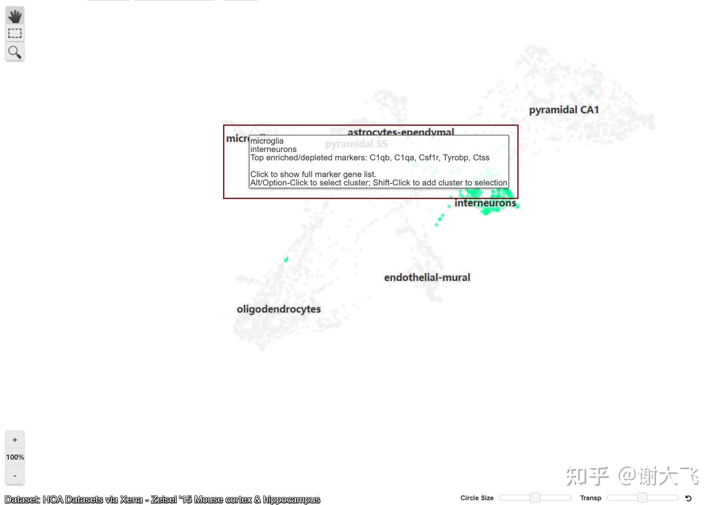 UCSC Cell Browser使用初探 - 知乎