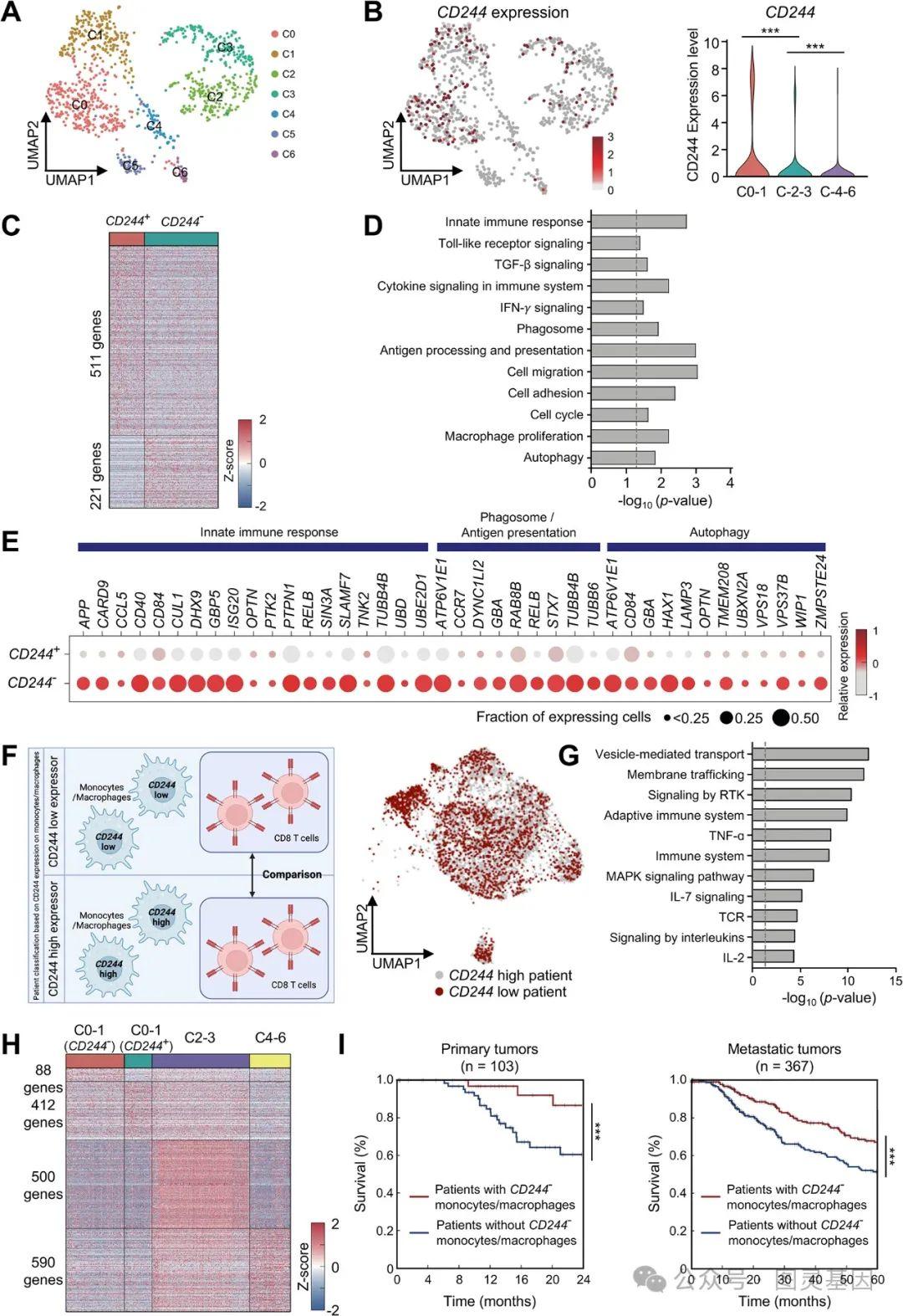 Mol Cancer | 单核细胞 CD244 缺失促进分化为抗肿瘤巨噬细胞，增强 PD-L1 阻断 - 知乎