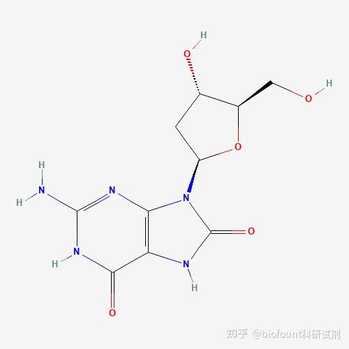 8-OHDG；DNA损伤检测试剂 - 知乎
