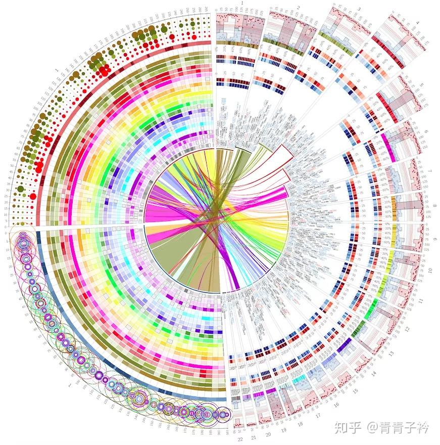 circos 学习手册（一） - 知乎