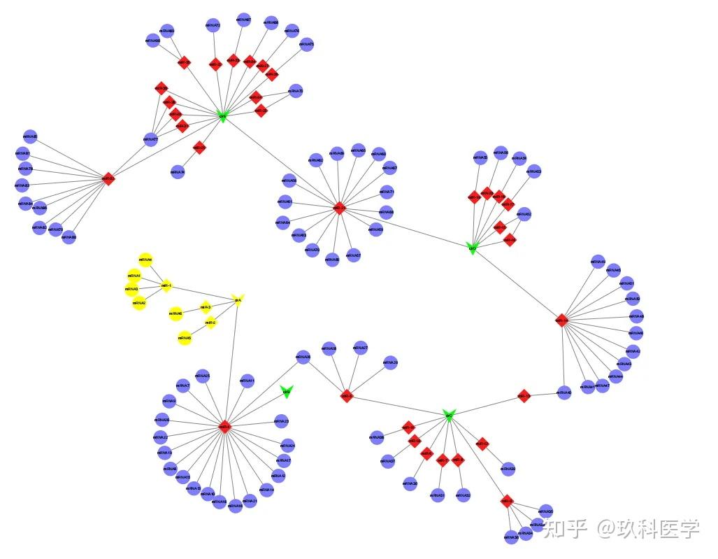 生信必备技能：Cytoscape与R语言构建ceRNA网络 - 知乎